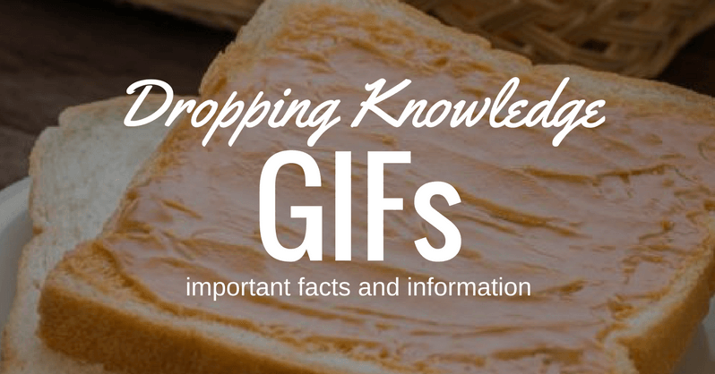 GIFs & Memes – follow me to certain doom