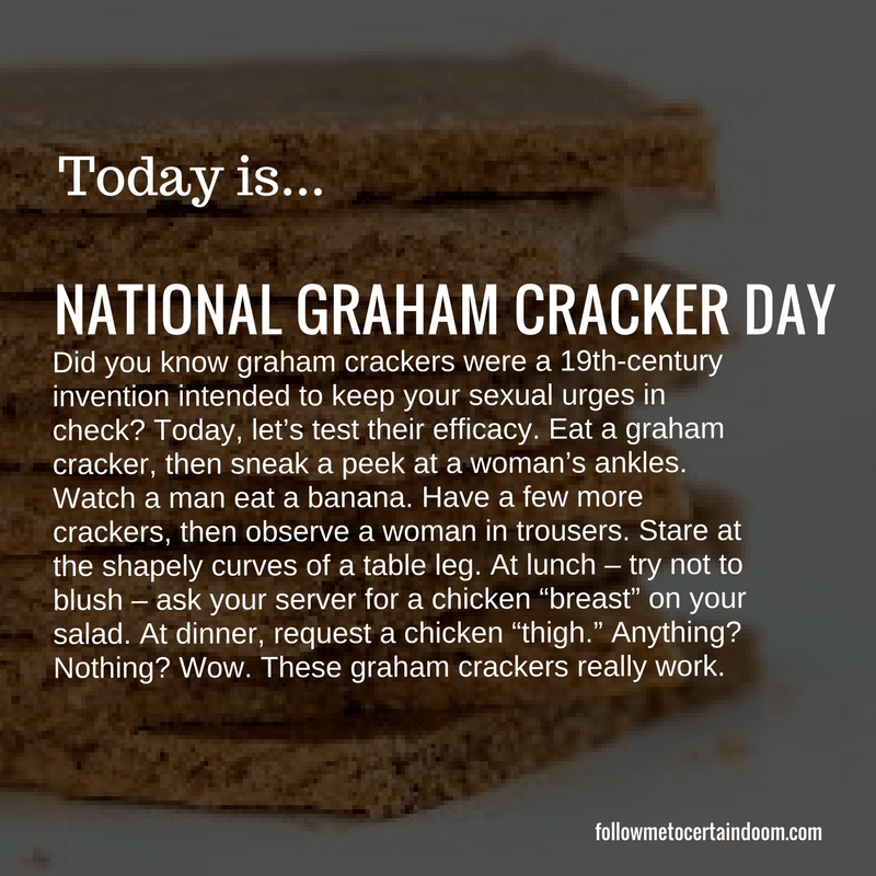 How to Celebrate National Graham Cracker Day – July 5, 2017 – follow me ...