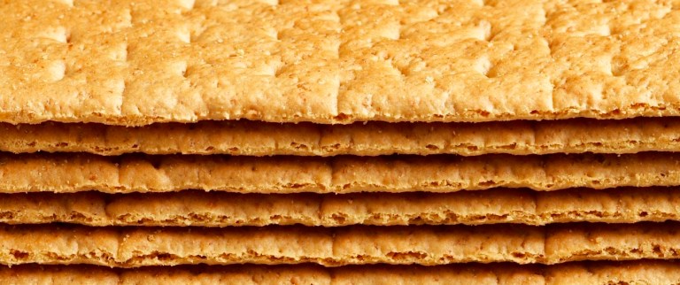 How to Celebrate National Graham Cracker Day – July 5, 2017 – follow me ...
