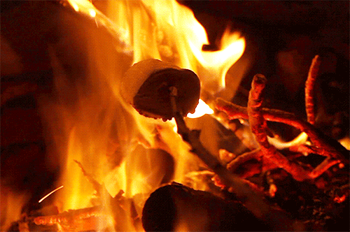 National Toasted Marshmallow Day – August 30, 2017 – follow me to ...